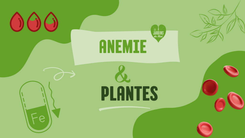 Traiter l'anémie naturellement : les remèdes végétaux à connaître - Les ...